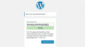 Forgot Password? How to Recover a Lost Password in WordPress