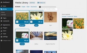 How to Add Grid View for Media Library in WordPress