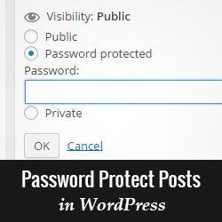 How to Password Protect a Page or Post in WordPress