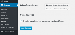 14 Best Featured Image Plugins and Tutorials for WordPress