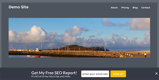 How To Create A Sticky Floating Footer Bar In WordPress