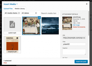 How to Add Audio Stories to Images in WordPress