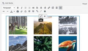 How to Display WordPress Photos in Columns and Rows
