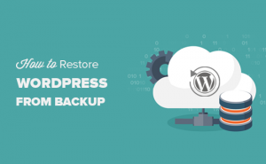 Beginner's Guide: How to Restore WordPress from Backup