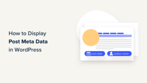 How to Display Blog Post Meta Data in WordPress Themes
