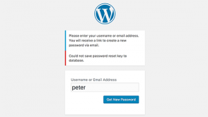 How to Fix Password Reset Key Error in WordPress