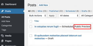 How to Allow Public Post Preview of Unpublished Posts in WordPress