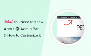 What Everybody Ought to Know about the WordPress Admin Bar