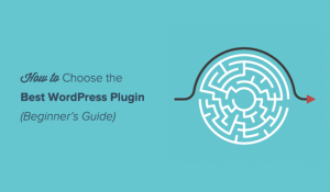 Beginner's Guide: How to Choose the Best WordPress Plugin