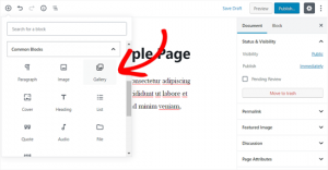 How to Add Caption to Images in WordPress
