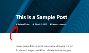How to Remove Author Name from WordPress Posts (2 Easy Ways)