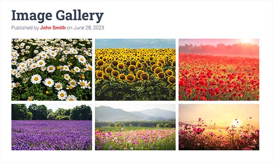 How to Create an Image Gallery in WordPress (Step by Step)