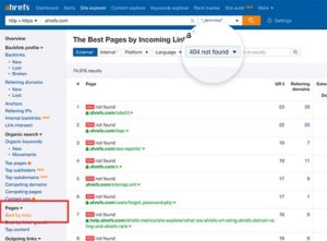 How to Find and Fix Broken Links in WordPress (Step by Step)
