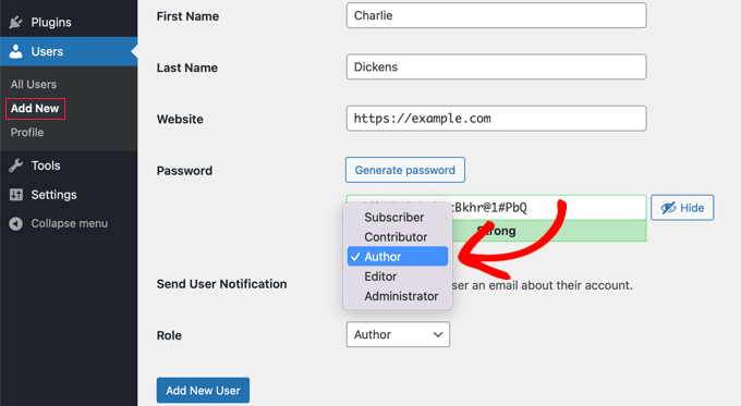 What Is Author In WordPress 