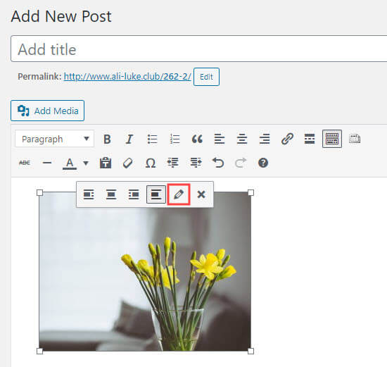 Image Alt Text vs Image Title in WordPress - What's the Difference?