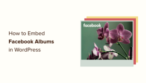 How to Embed Facebook Albums in WordPress (The Easy Eay)