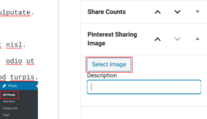 How to Hide Pinterest Images in Your WordPress Blog Posts