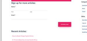 How to Add Custom After Post Widgets in WordPress