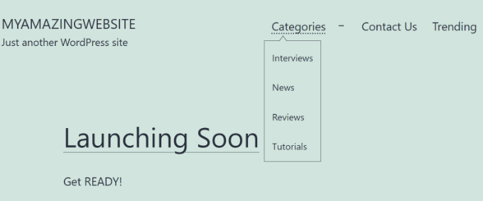How To Add Titles In WordPress Menu Without Linking To A Page