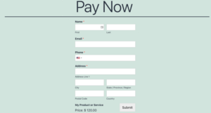 How to Add a PayPal Payment Form in WordPress (Step by Step)