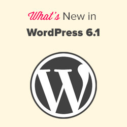 Top WordPress News All in One Place